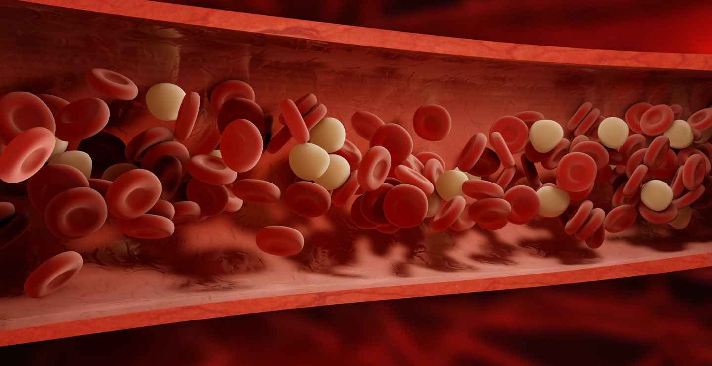 Enfermedades hematológicas: Tipos, causas y tratamiento en adultos y niños